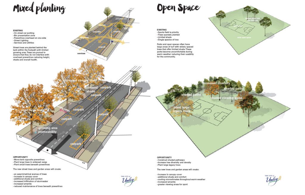 City of Unley Tree Strategy - Clover - Landscape Architecture ...